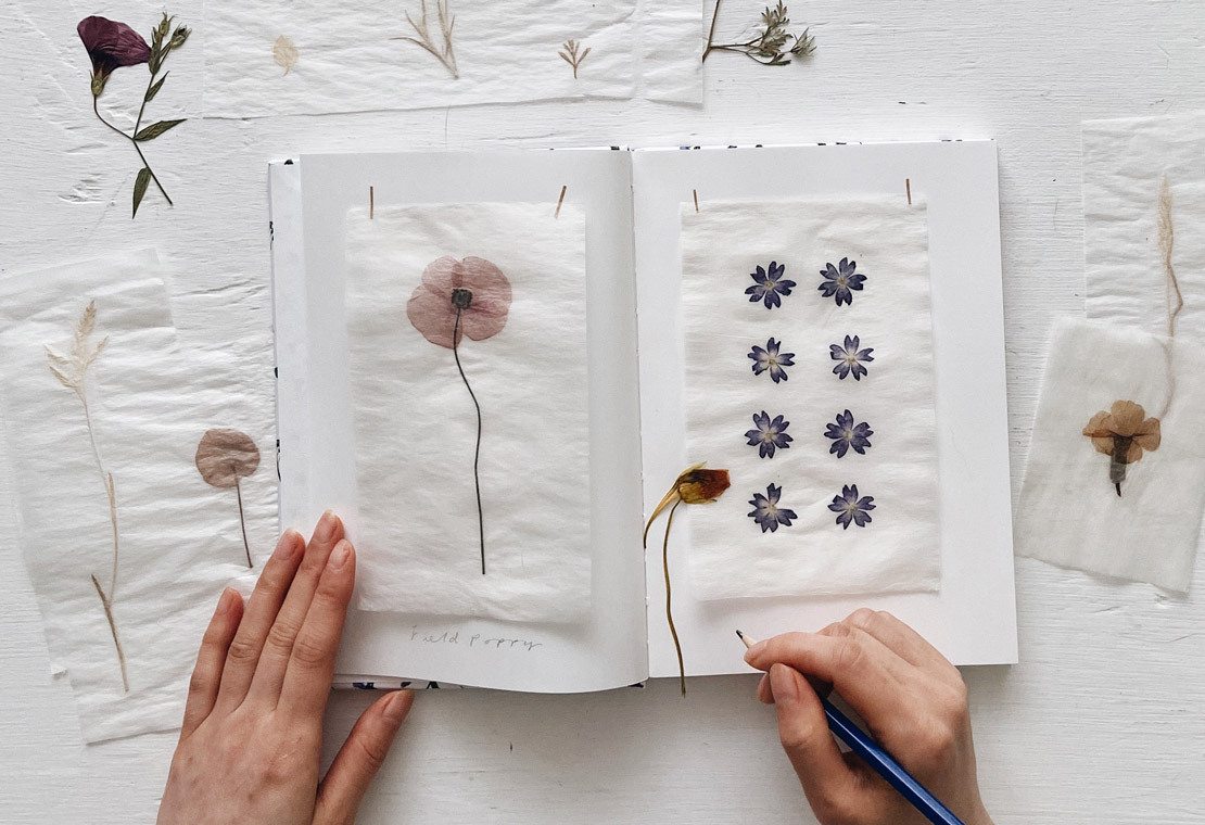 What To Do With A Blank Page? | Papier